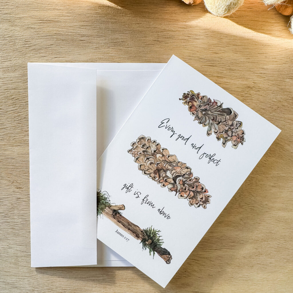 Pinecone Winter Note Card Gift Set – 6 Blank Folded Note Cards – Robe ...